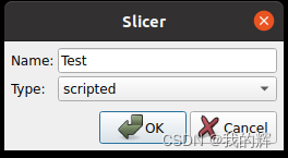 在slicer中编写scripted模块_attempting to build the python scripted module 'su ...