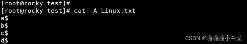 Linux关于cat -A 的一些简单了解-CSDN博客