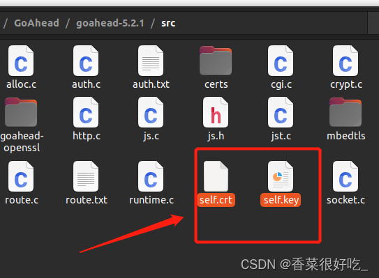 嵌入式web服务器goahead搭建并部署cgi程序_goahead服务器-CSDN博客