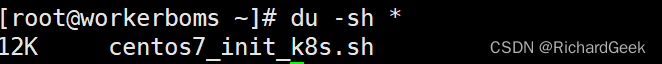Linux 利用 du -sh 命令查看磁盘使用文件大小信息-CSDN博客