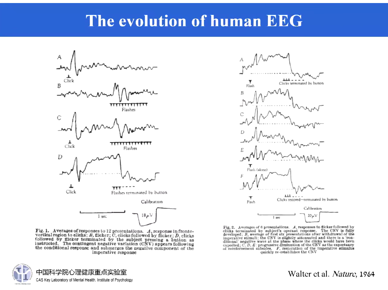 脑电数据分析方法与应用实例简介-EEG Processing and Feature 1-CSDN博客