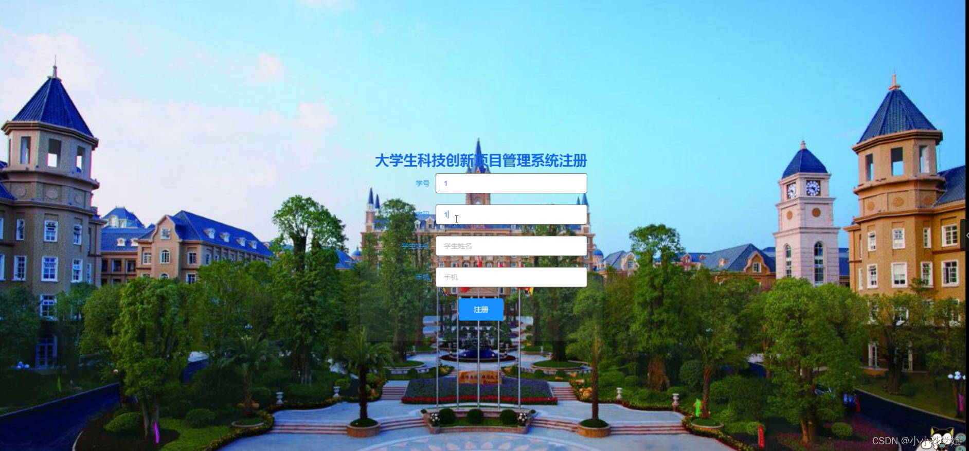 Java毕设项目大学生科技创新项目管理系统（javavuemybatismavenmysql）java项目技术创新的例子 Csdn博客 