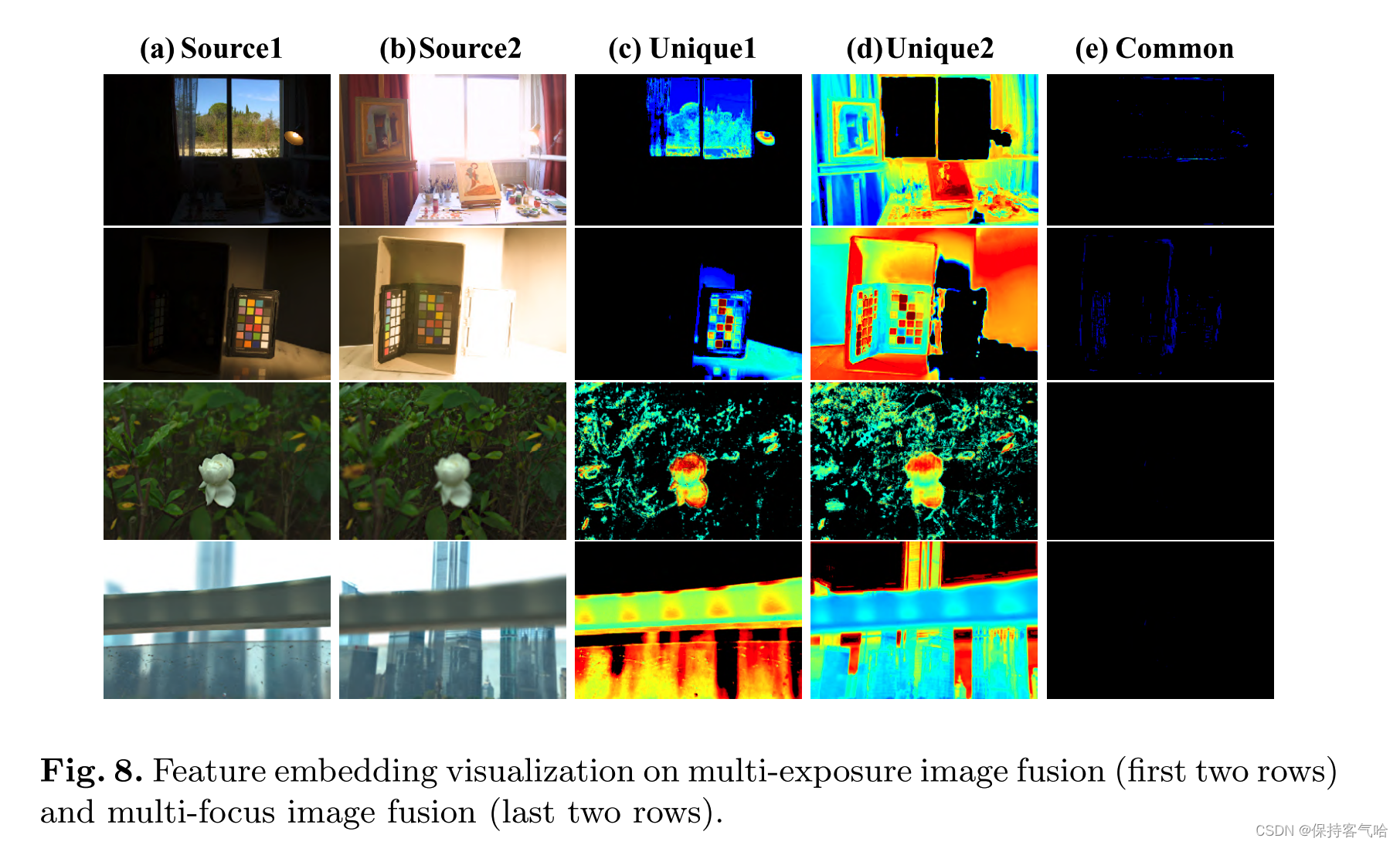 Fusion from Decomposition: A Self-Supervised Decomposition Approach for Image Fusion-CSDN博客