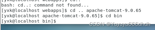 Linux下Tomcat服务器Finereport部署_finereport11 linux 登录-CSDN博客
