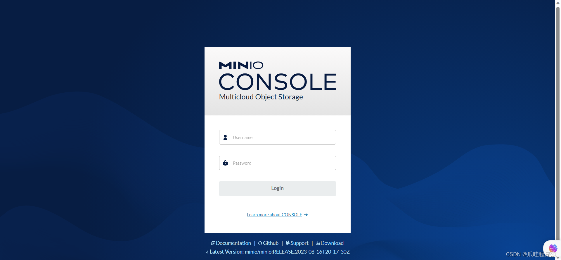 Minio文件服务器(超详细!)-CSDN博客