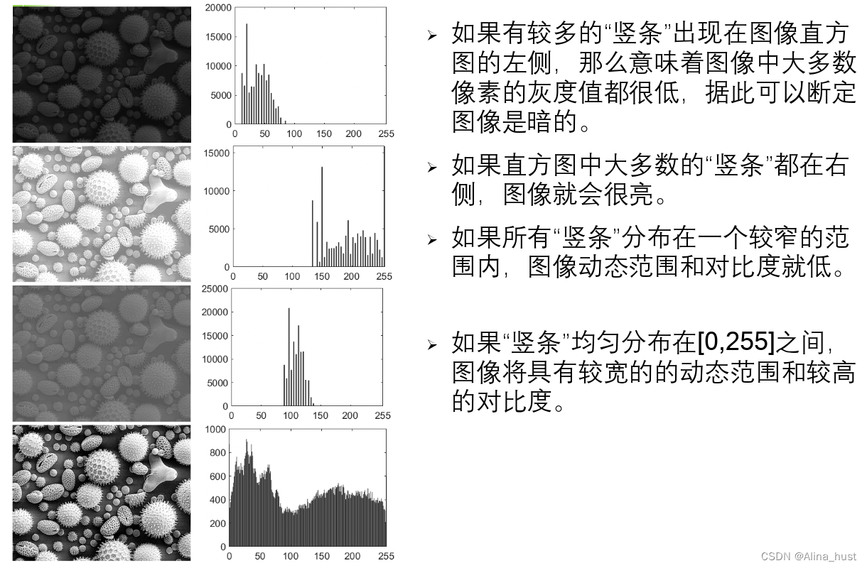 Matlab数字图像处理 02 灰度变化（图像直方图、直方图均衡化、直方图匹配）matlab灰度直方图比例变换 Csdn博客 