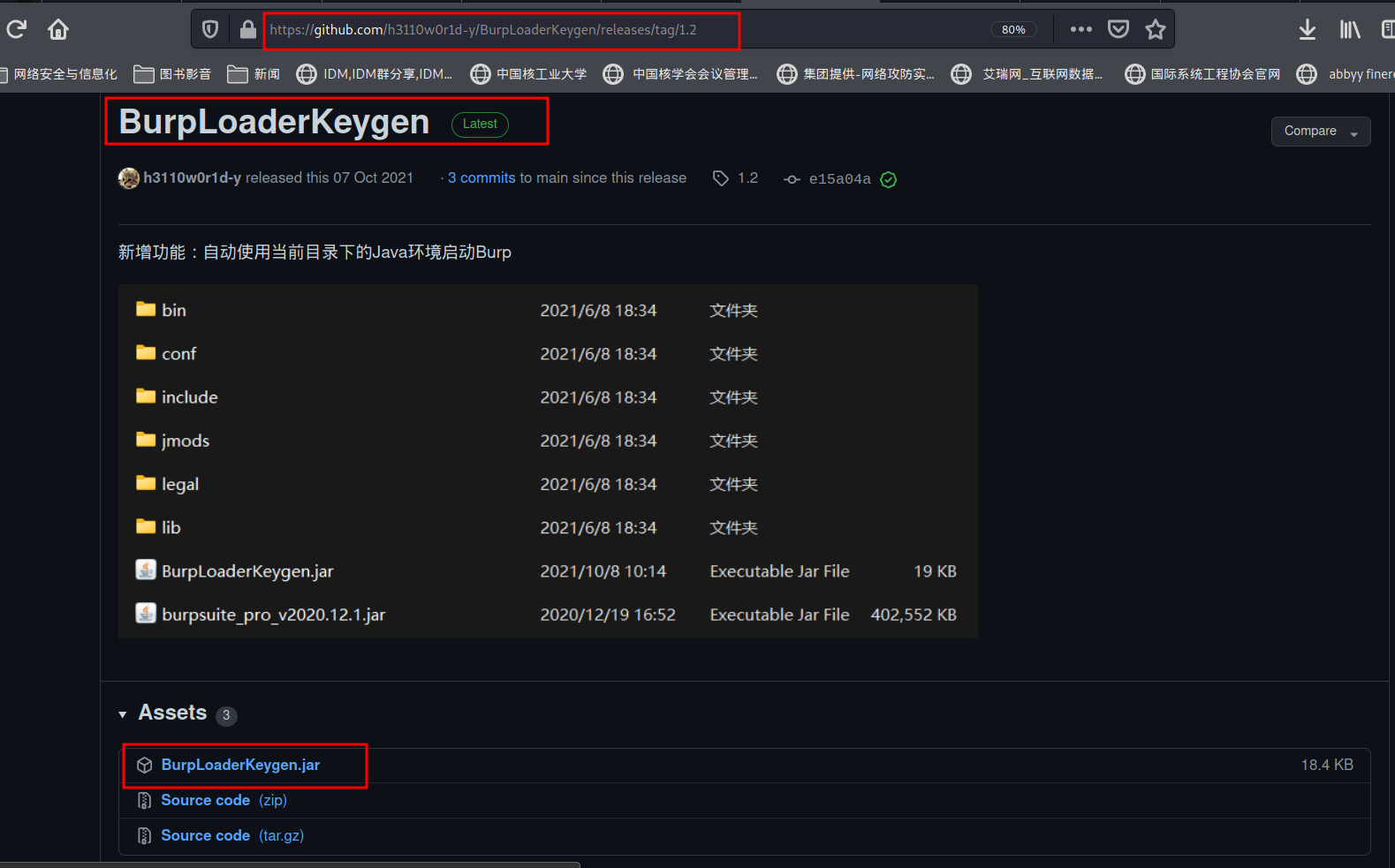 kali 2021 安装配置burpsuite pro 2021.3.3（小蓝版）教程_zw05011的博客-CSDN博客_kali中安装burpsuite