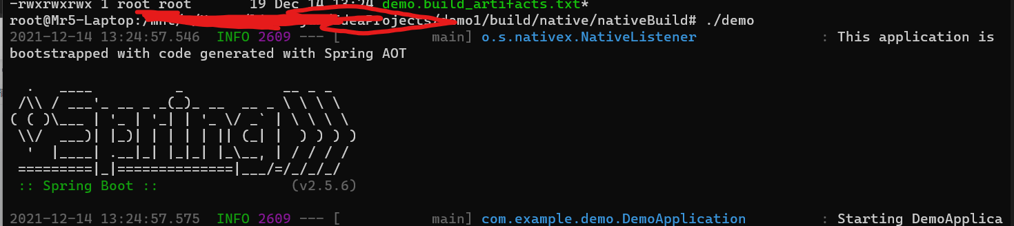 SpringNative介绍_spring native_五爷的糖的博客-CSDN博客