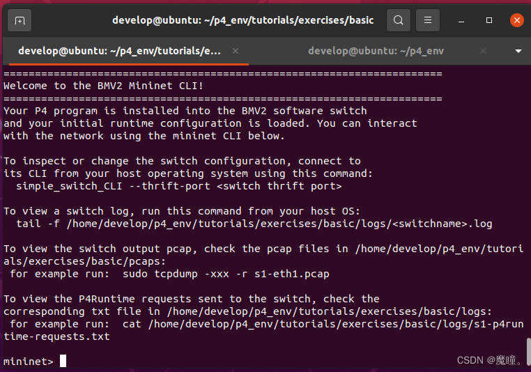 ubuntu20.04下P4环境搭建_ubuntu p4-CSDN博客