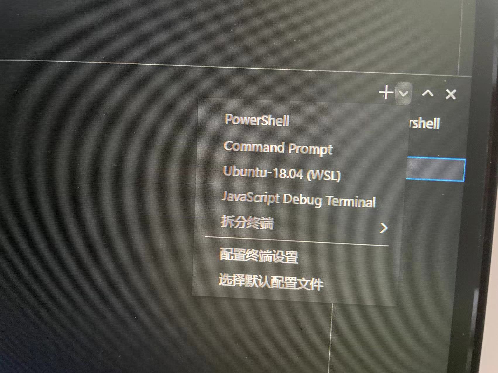 win10系统电脑如何在WSL Linux/ubuntu 环境中运行程序的方法_怎么用wsl跑实验-CSDN博客