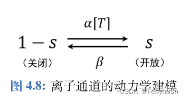 【brainpy学习笔记】突触模型2——化学突触的生理学模型、电突触模型_bm.variable作用-CSDN博客