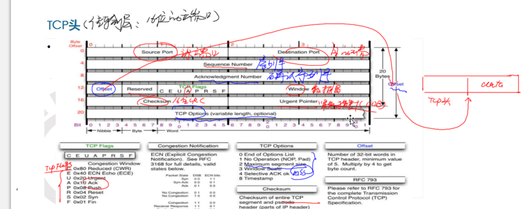 linux网络编程-网络分析测试工具、封包、IP和TCP头_linux tcp测试工具-CSDN博客