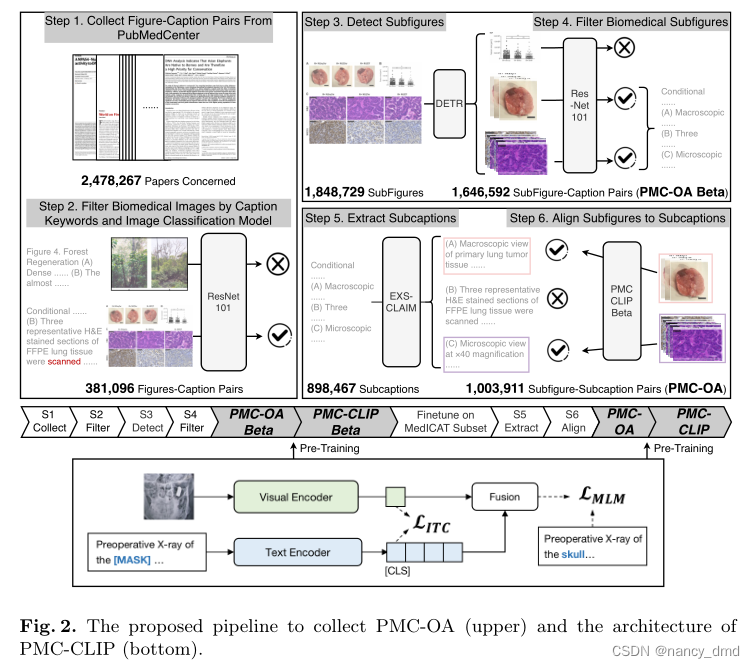 【论文阅读】PMC-CLIP:使用生物医学文档的对比语言图像预训练-CSDN博客