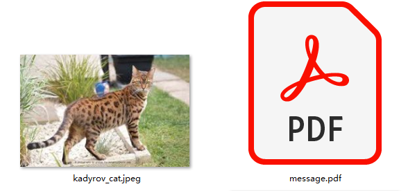 [CFI-CTF 2018]Kadyrov‘s Cat_kadyrov's cat-CSDN博客