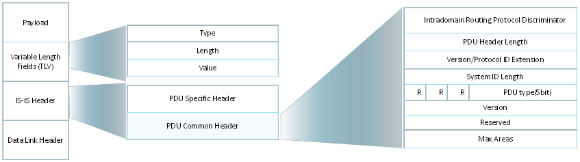华为数通笔记-ISIS基础_数通dis-CSDN博客