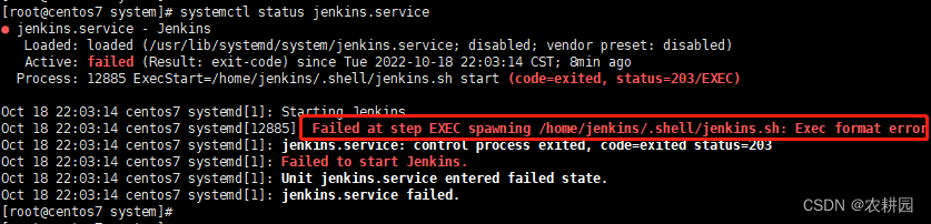 03 | 设置centos中jenkins服务为开机自启动_jenkins开机启动_农耕园的博客-CSDN博客