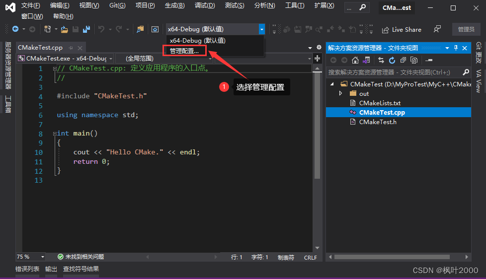 Visual Studio连接Linux服务器编译CMake项目，生成在Linux上运行的程序_vs运行在linux-CSDN博客