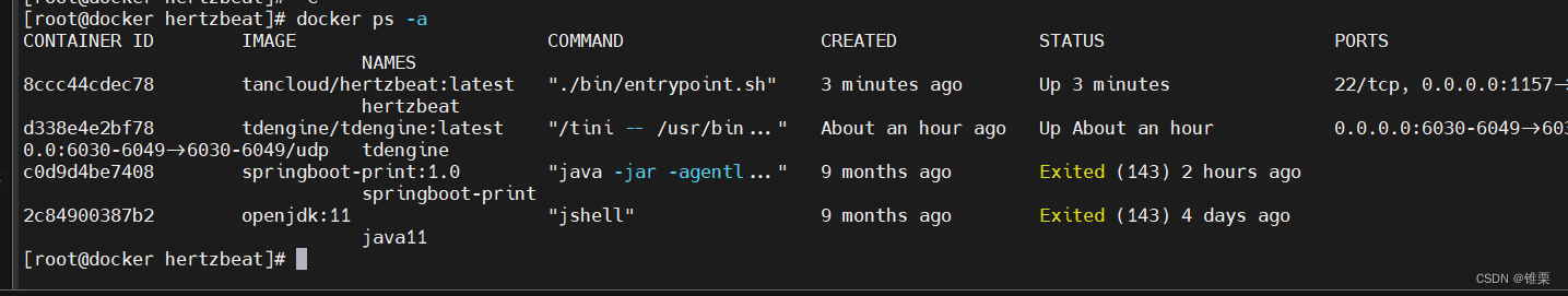 【监控】Hertzbeat在docker的安装与部署-CSDN博客