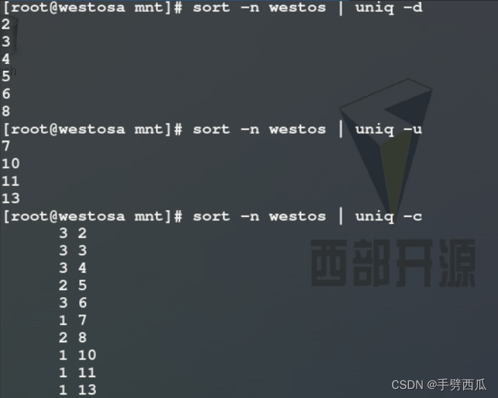 shell中的常用基础命令_shell sort -rn-CSDN博客