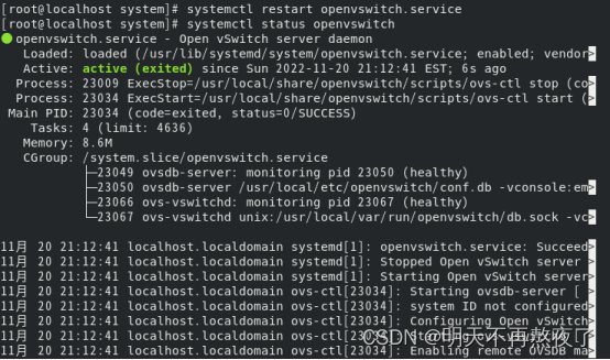 Ubuntu或Centos安装自启OVS服务（亲测均可以）_ubuntu20.04启动ovs-server-CSDN博客