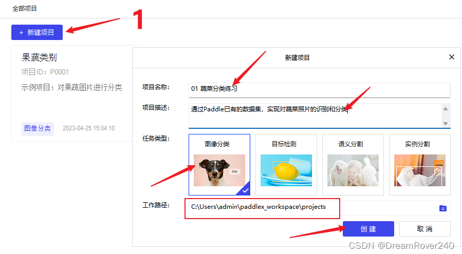 PaddleX入门教程1：利用PaddleX图形化工具进行训练_paddlex1.0模型转换-CSDN博客