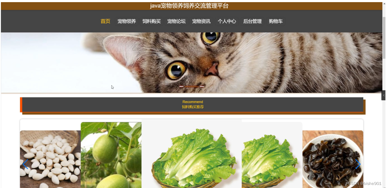 计算机毕业设计ssmjava宠物领养饲养交流管理平台【附源码数据库】宠物交流项目功能流程图 Csdn博客