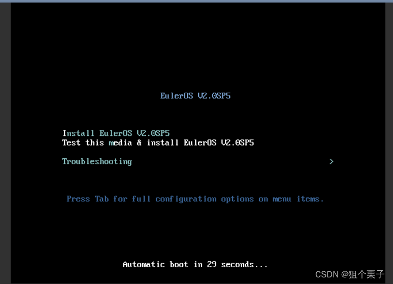 EulerOS(欧拉)操作系统安装以及使用配置-CSDN博客