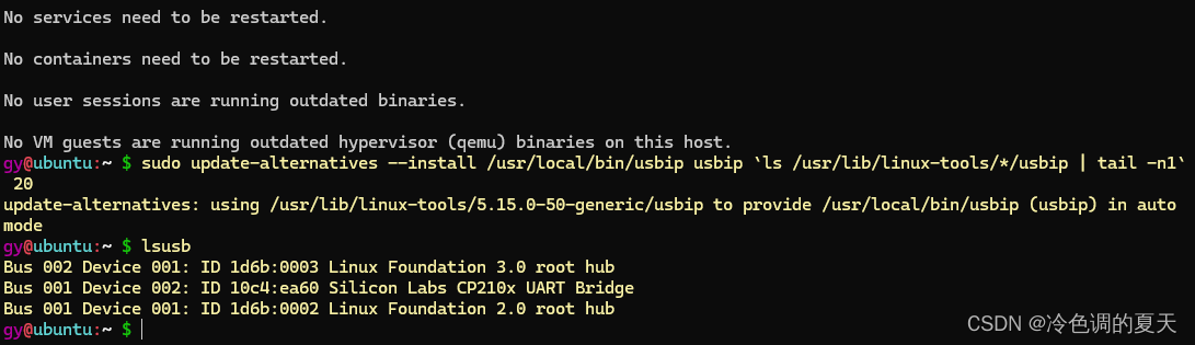 WSL2中使用usb设备 usbipd: error: WSL ‘usbip‘ client not correctly installed._usbipd: error: wsl ...