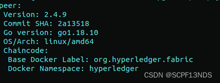 fabric2.4.9链码生命周期与部署_peer lifecycle chaincode install basic.tar.gz-CSDN博客