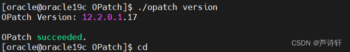 【oracle运维】oracle 19c 打补丁（p32218454）升级版本_oracle19c最新补丁-CSDN博客
