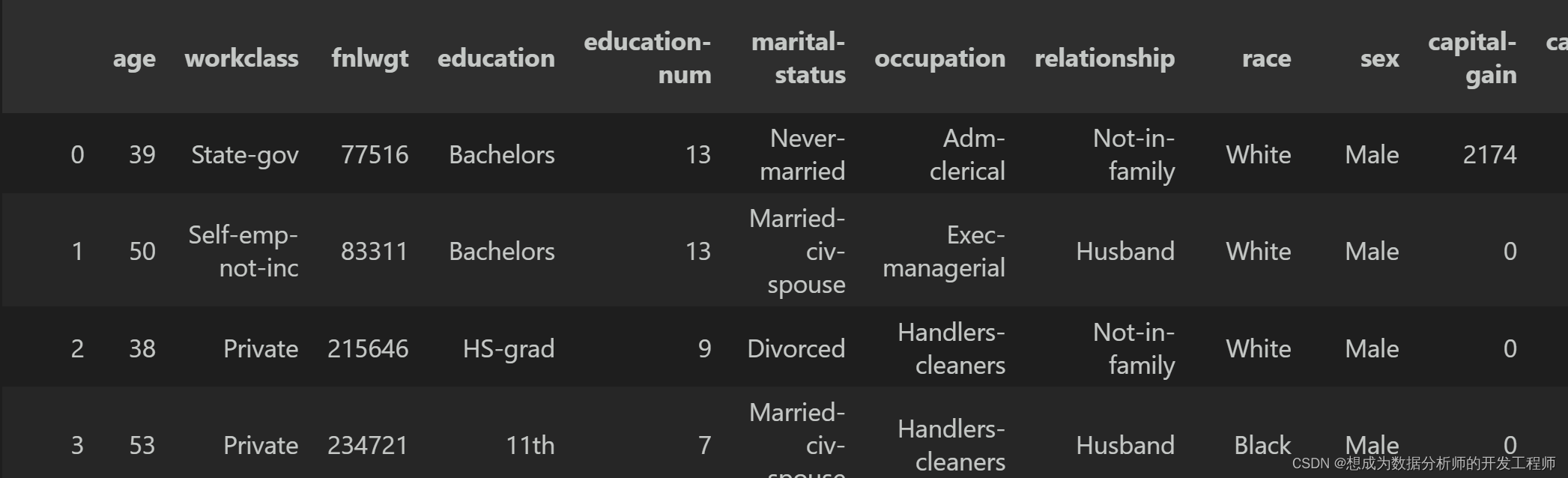 3.Python数据分析项目——工资分类预测_全部工资数据python讲解-CSDN博客
