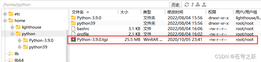 docker运行centos镜像 安装python3.9环境_docker python3.9-CSDN博客