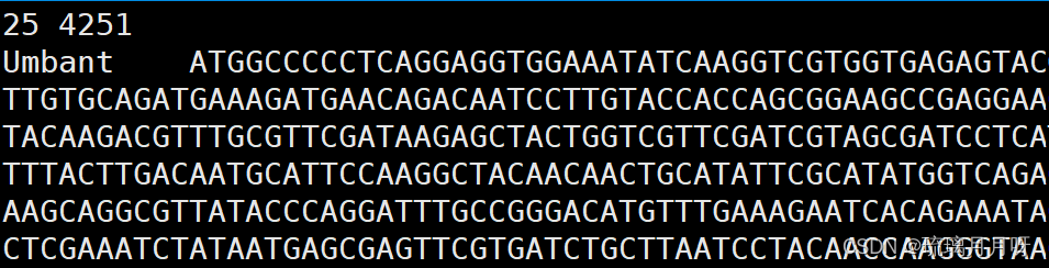 （18）使用PAMLcodeml进行正选择分析_paml codeml-CSDN博客