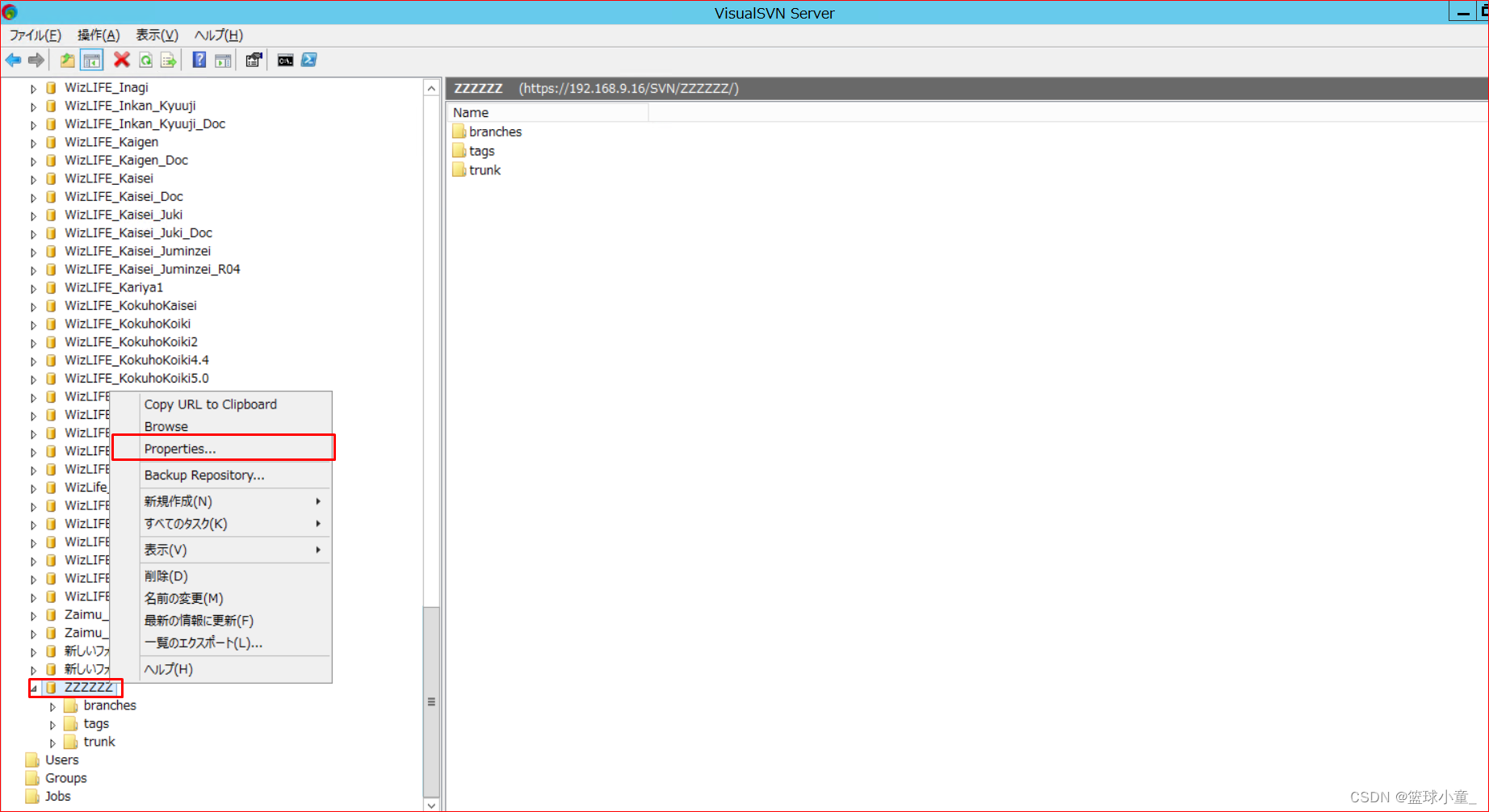 使用visualsvn Server搭建svn服务器以及管理权限 Csdn博客