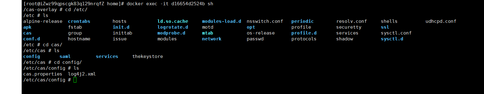 Docker部署CAS单点登录Server及相关配置_docker cas-CSDN博客