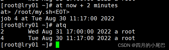 Linux12 crontab 定时任务 at 一次性任务_crontab一次性计划任务-CSDN博客