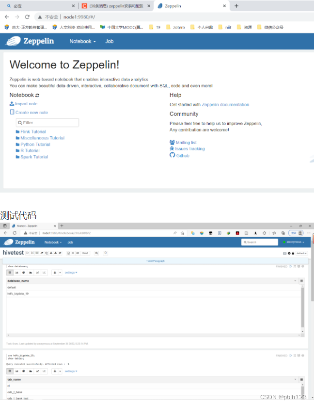 【Hadoop2.7.3上部署zeppelin-0.10.1】_zeppelin存储在hadoop吗-CSDN博客