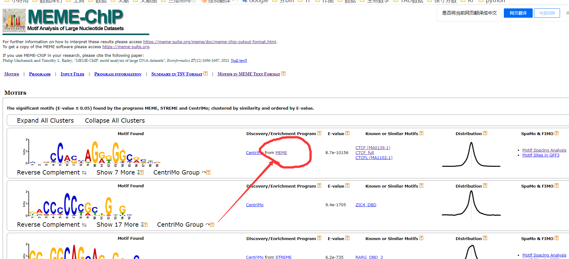 用MEME找motif score_meme tool_很酷的女超人的博客-CSDN博客
