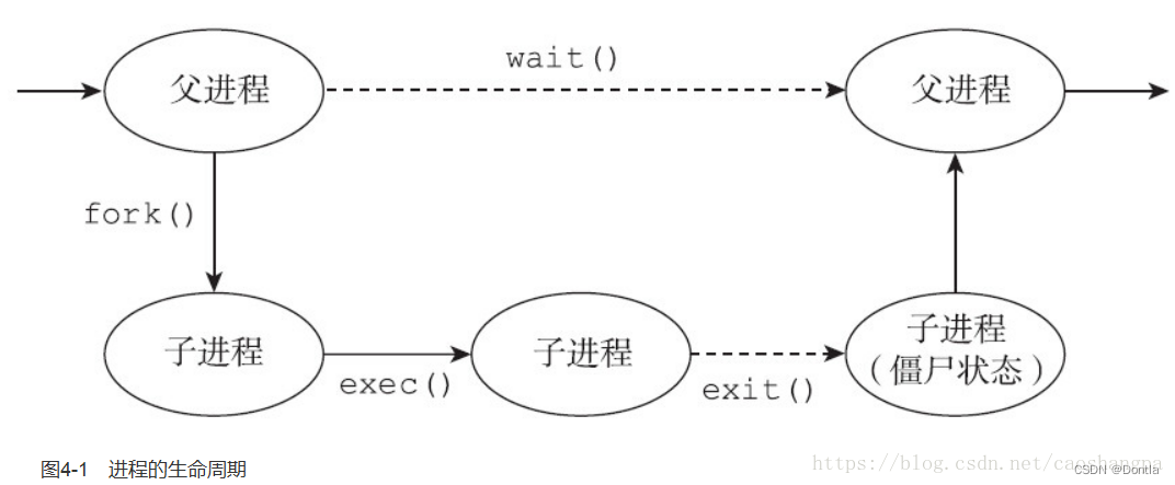 linux之进程的基本概念(进程PID，进程组PGID，会话关系SID）（作业）setpgid()、setsid()-CSDN博客
