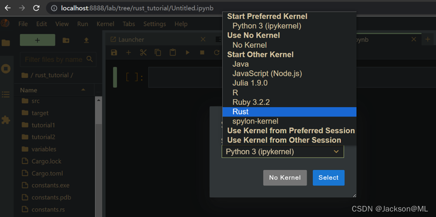 在Jupyter Lab平台用RUST语言开发应用程序_rust jupyter-CSDN博客