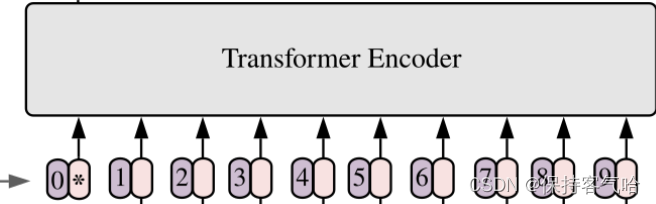 Vision Transformer 学习笔记_linear projection of flattened patcher的缺点-CSDN博客