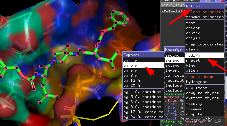 pymol 分离蛋白与小分子保存；pymol分离蛋白多聚体亚基；pymol对接位点交互图展示；去除杂原子_loong_XL的博客-CSDN博客