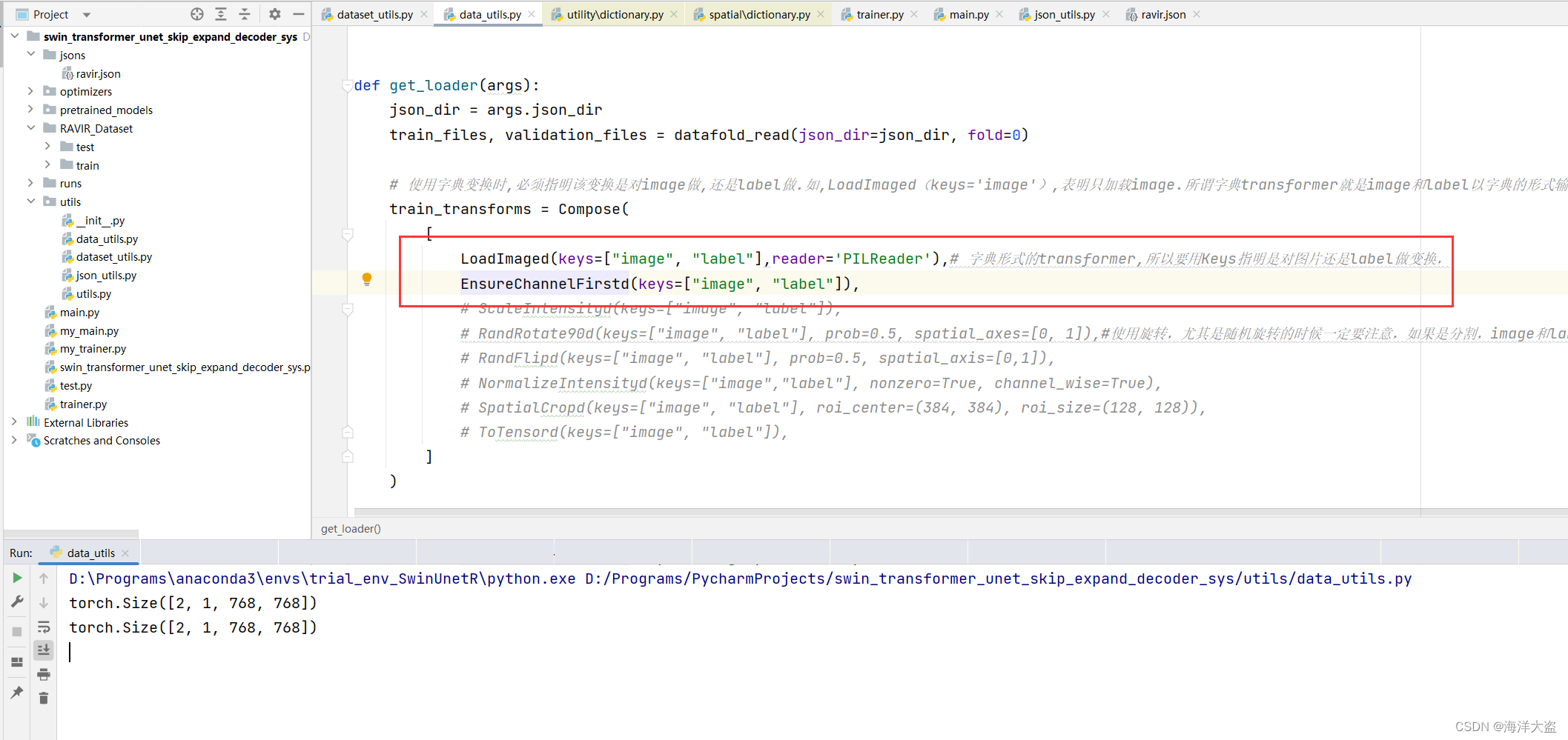 关于MONAI LoadImaged(keys=[“image“, “label“]‘)读取灰度图没有通道channel这个维度-CSDN博客