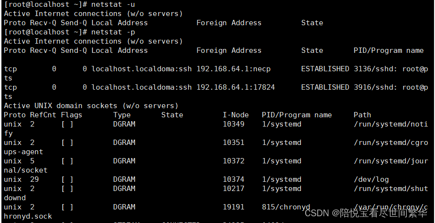 Linux网络命令之DHCP_ifconfig dhcp-CSDN博客