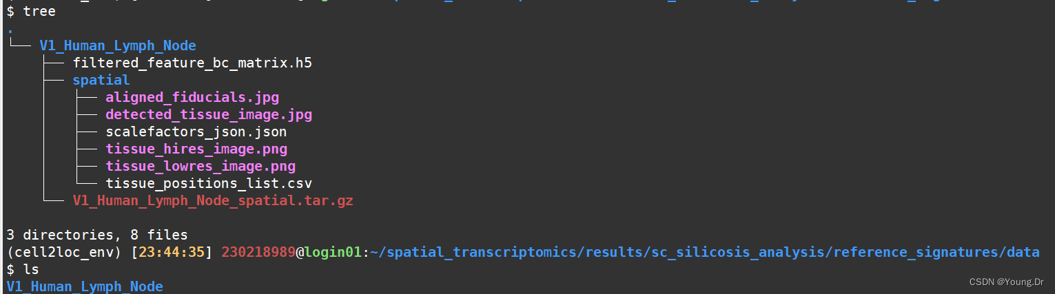 Scanpy 空转数据结构seurattoscanpy Spatialscanpy 读取空转 Csdn博客