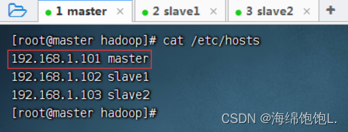 Hadoop集群构建（四）_hadoop-env.sh-CSDN博客