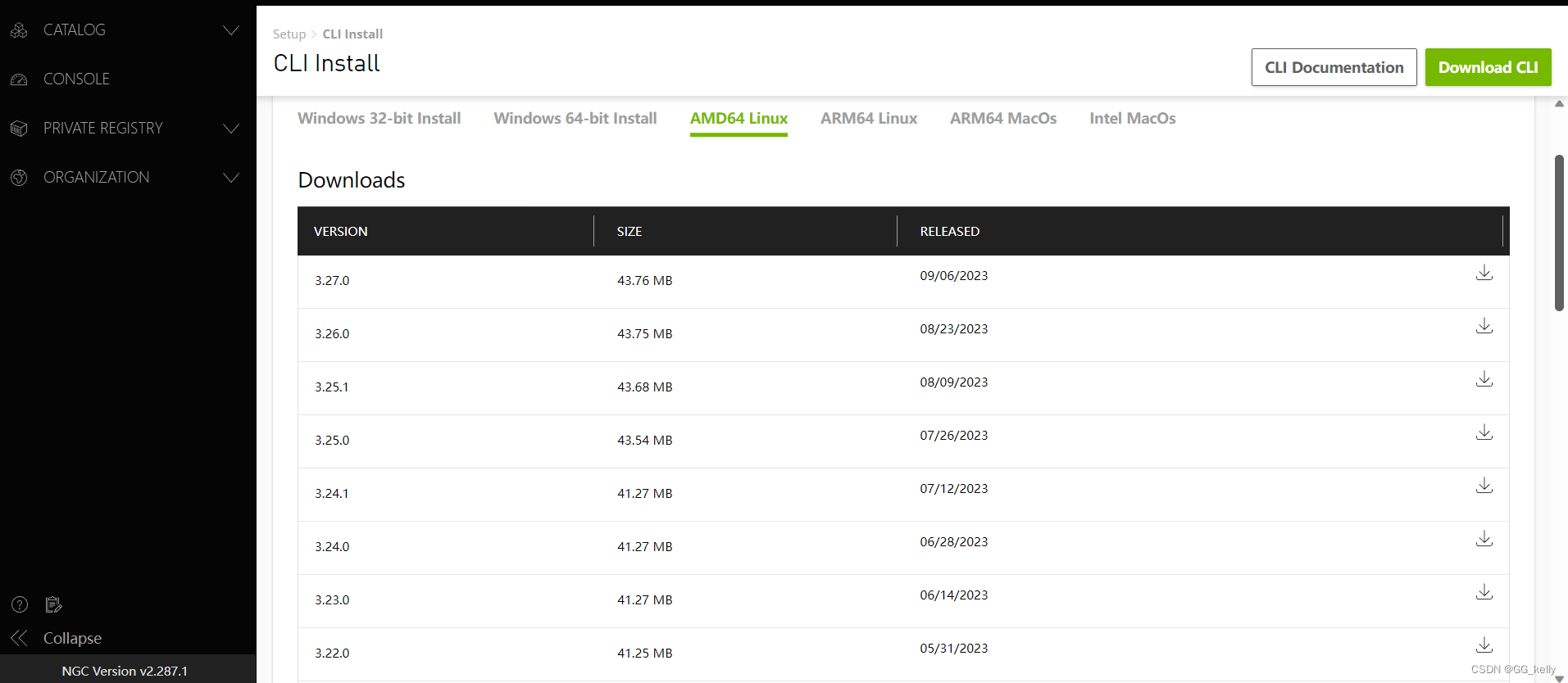 安装NGC CLI-CSDN博客