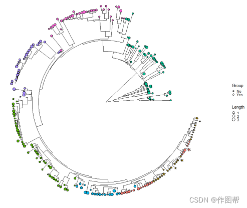 R语言|ggtreeExtra包绘制进化树_r语言绘制进化树_作图帮的博客-CSDN博客