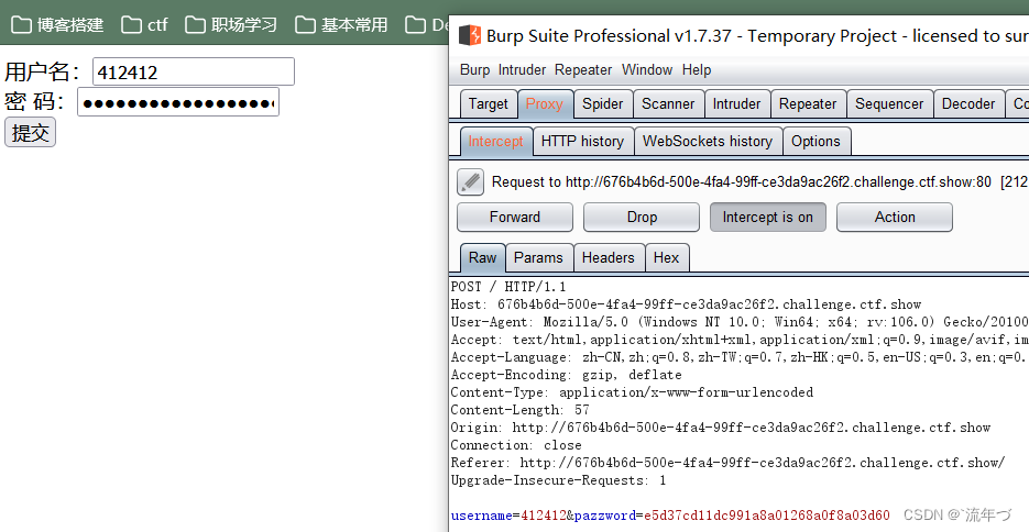 Web入门1_[第一章 web入门]常见的搜集-CSDN博客