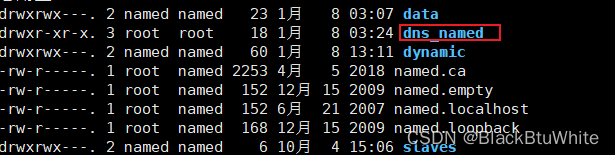 Centos7搭建DNS（bind）服务器，配置域名泛解析记录_centos7配置域名结果图-CSDN博客